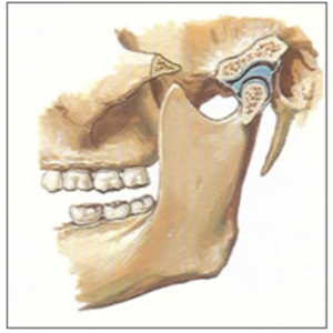 Maxillo-Faciale – Cabinet de Kinésithérapie
